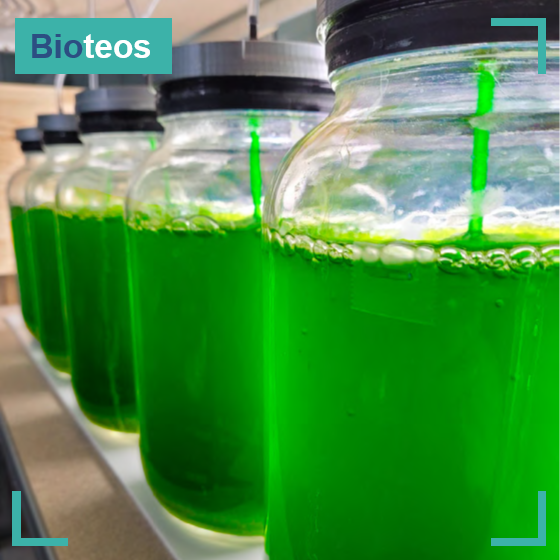 Concours les 4S Semeur d'innovation Crédit Mutuel